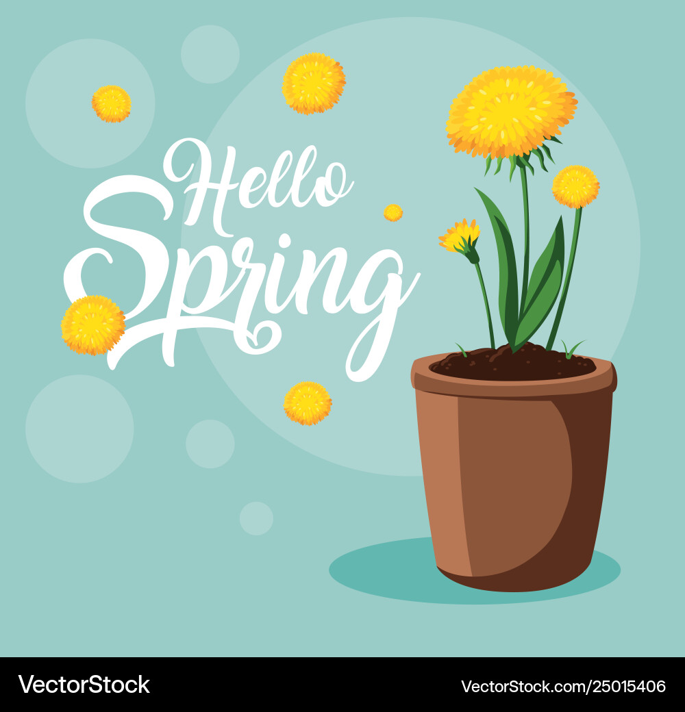 Hello spring card with beautiful flowers in pot Vector Image