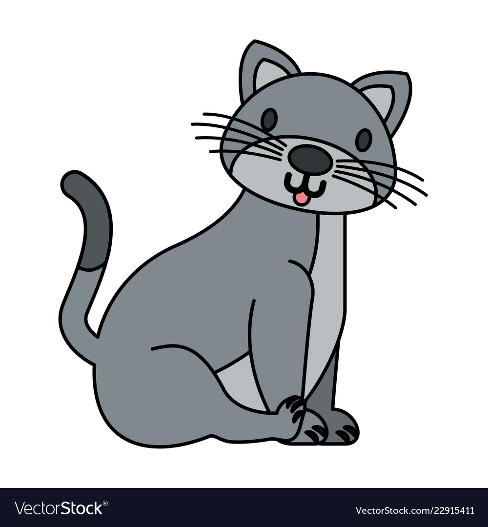 Gray cat on white background Royalty Free Vector Image
