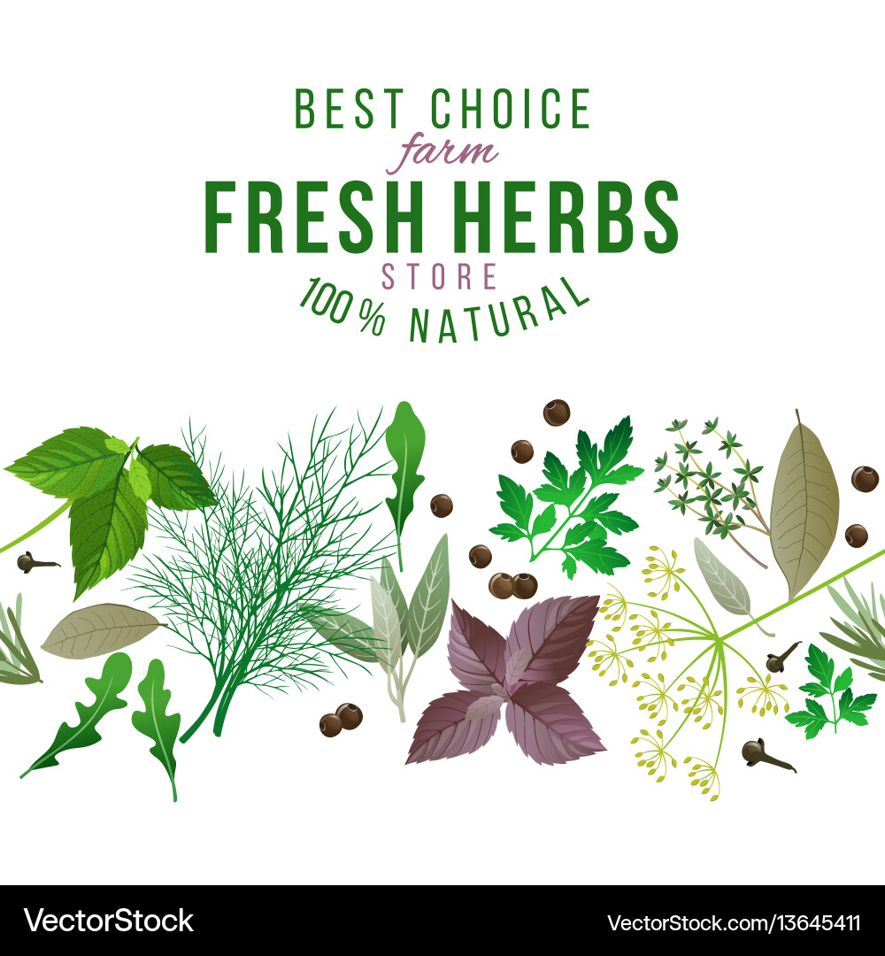 Seamless border with herbs and spices Royalty Free Vector