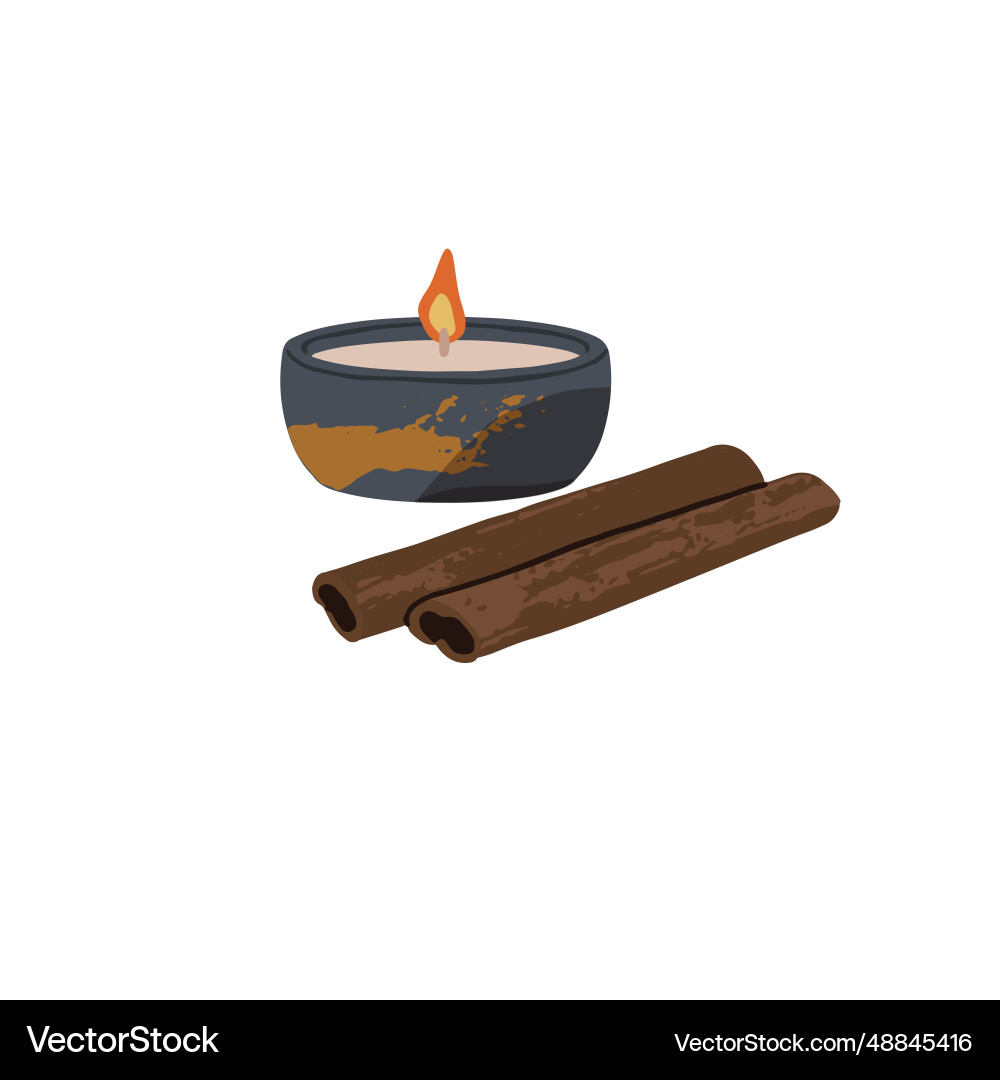 Aroma candle in jar with cinnamon aromatic Vector Image