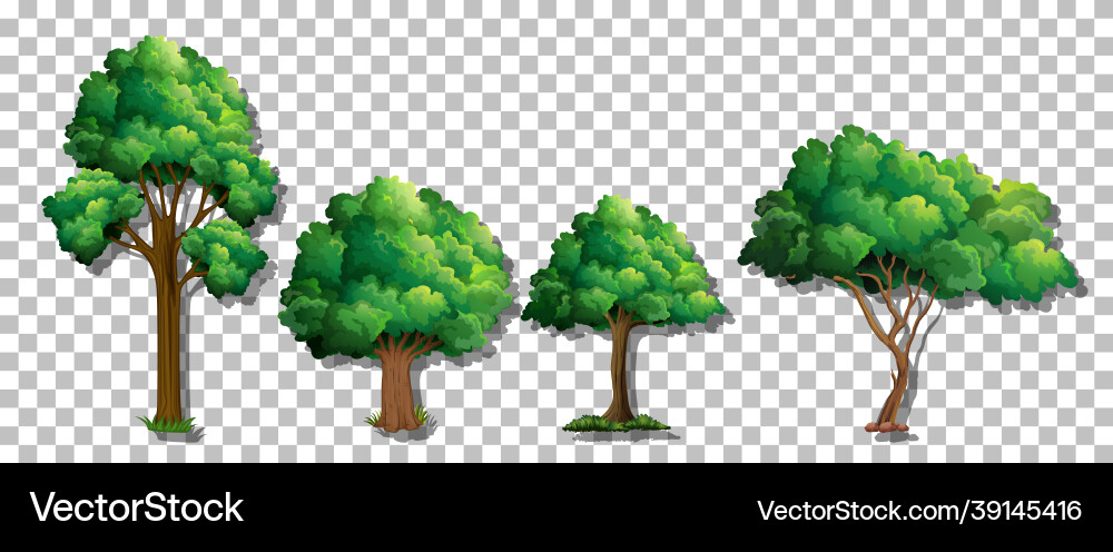 Set of various trees on transparent background Vector Image