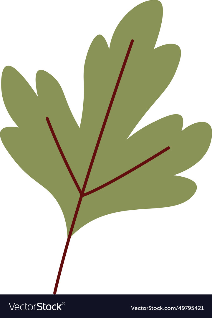 Tree leaf icon Royalty Free Vector Image - VectorStock