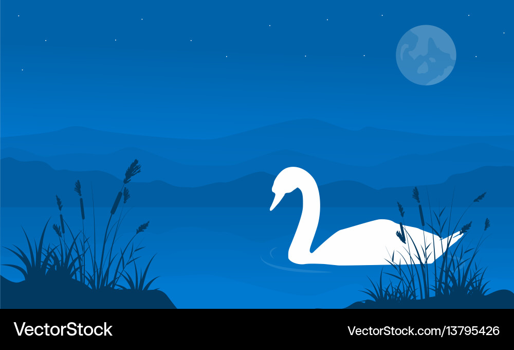 At night swan scenery silhouettes Royalty Free Vector Image