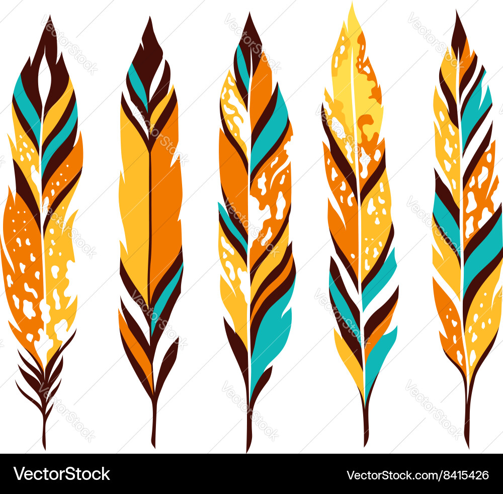 Bird colored feathers set Royalty Free Vector Image