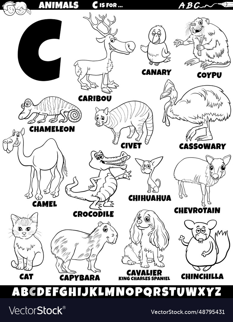 Animal That Starts With C