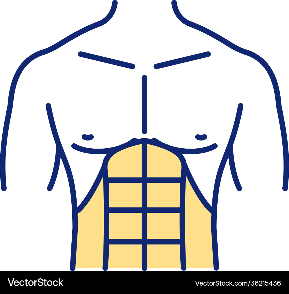 Abdominal muscles rgb color icon Royalty Free Vector Image