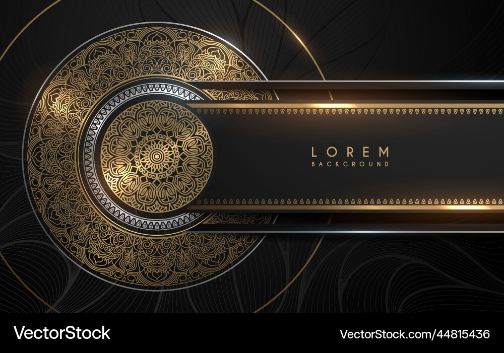 Abstract black and gold circle ornate background Vector Image