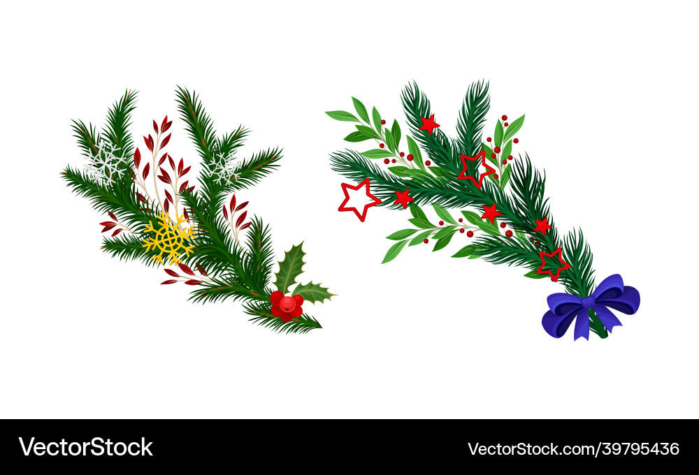 Christmas tree branches decorated with berries Vector Image