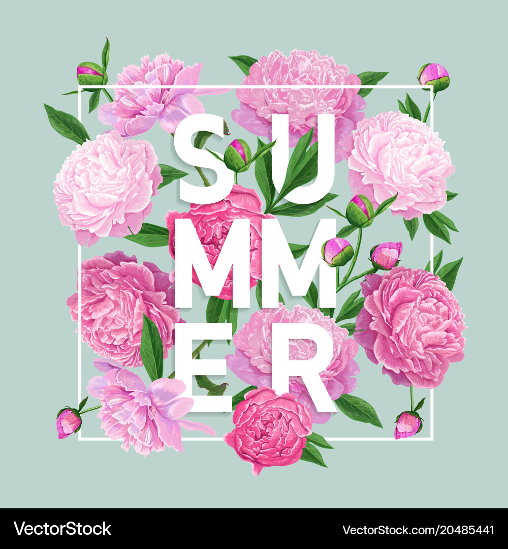 Hello summer floral design blooming pink peony Vector Image