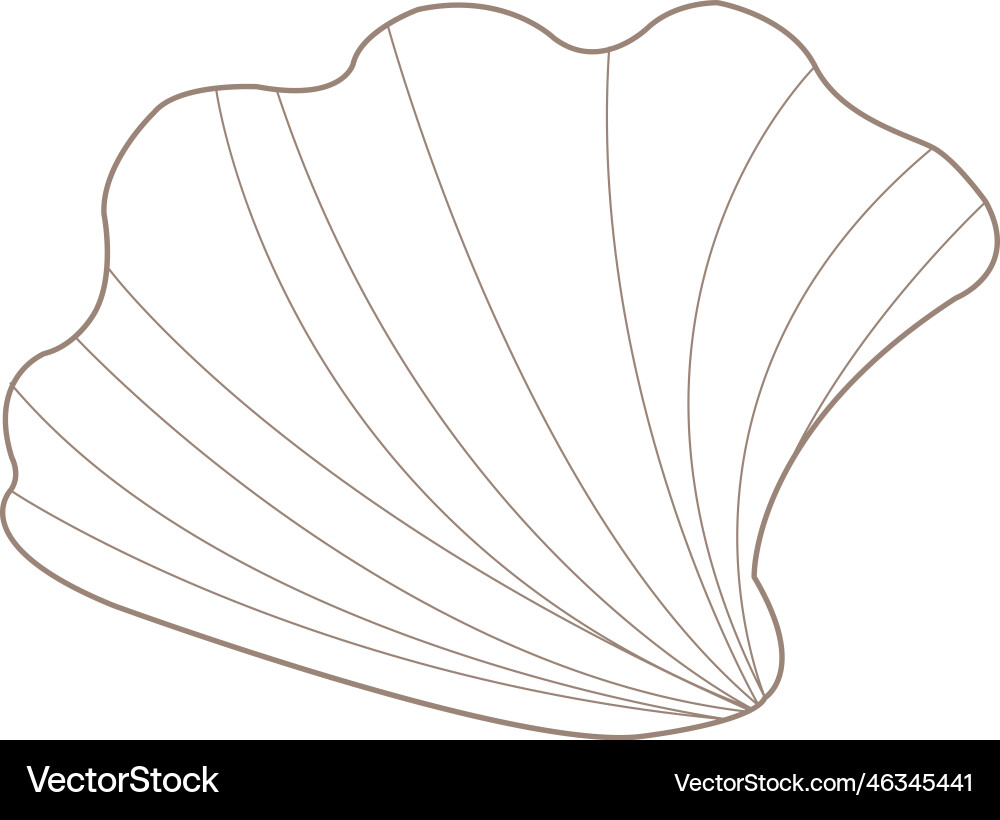 Seashell doodle for decoration on marine life Vector Image