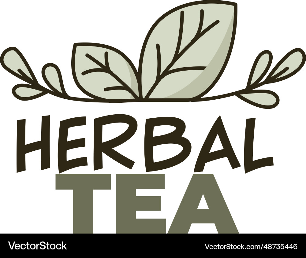 Herbal tea label or logotype organic drink Vector Image
