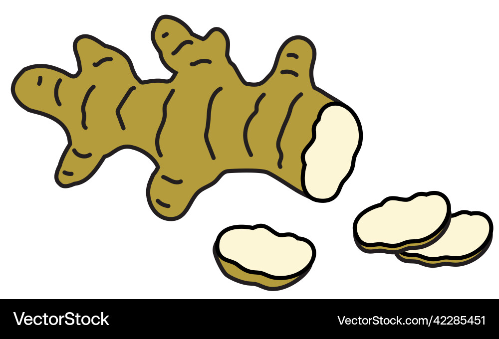 Doodle cartoon ginger root for menu farmers Vector Image