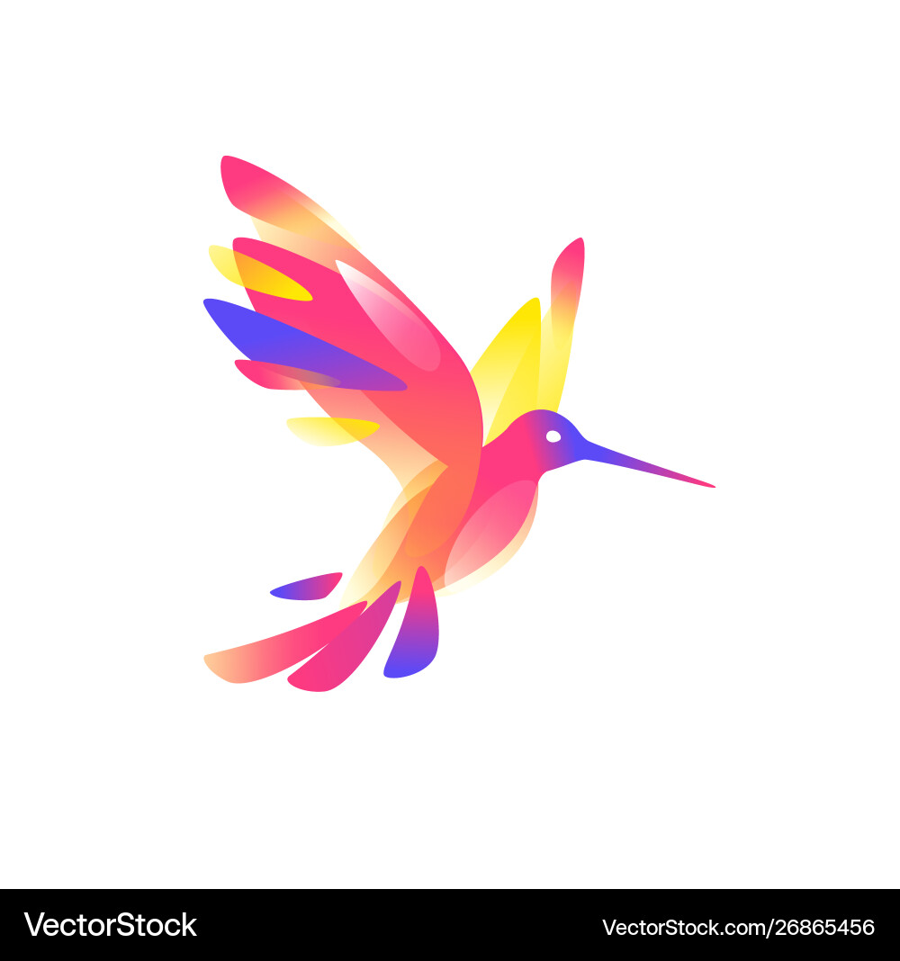 A pink colibri image is isolated on white Vector Image