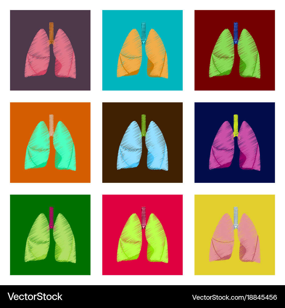 Assembly of flat shading style icon lungs Vector Image