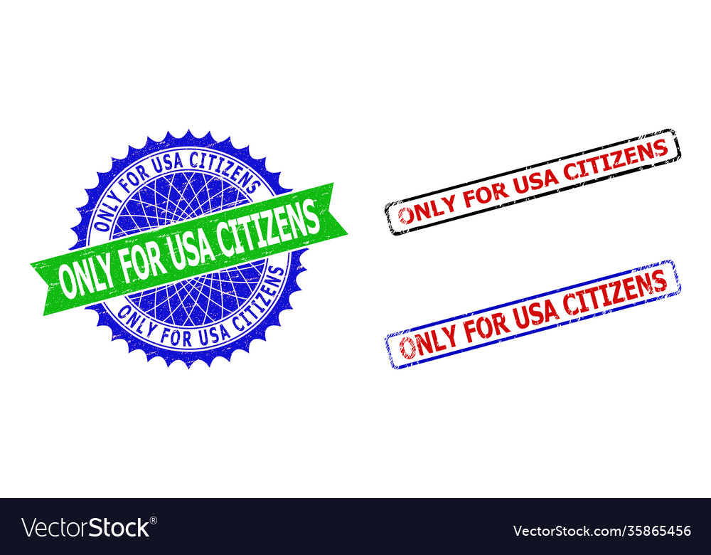 Only for usa citizens rosette and rectangle Vector Image