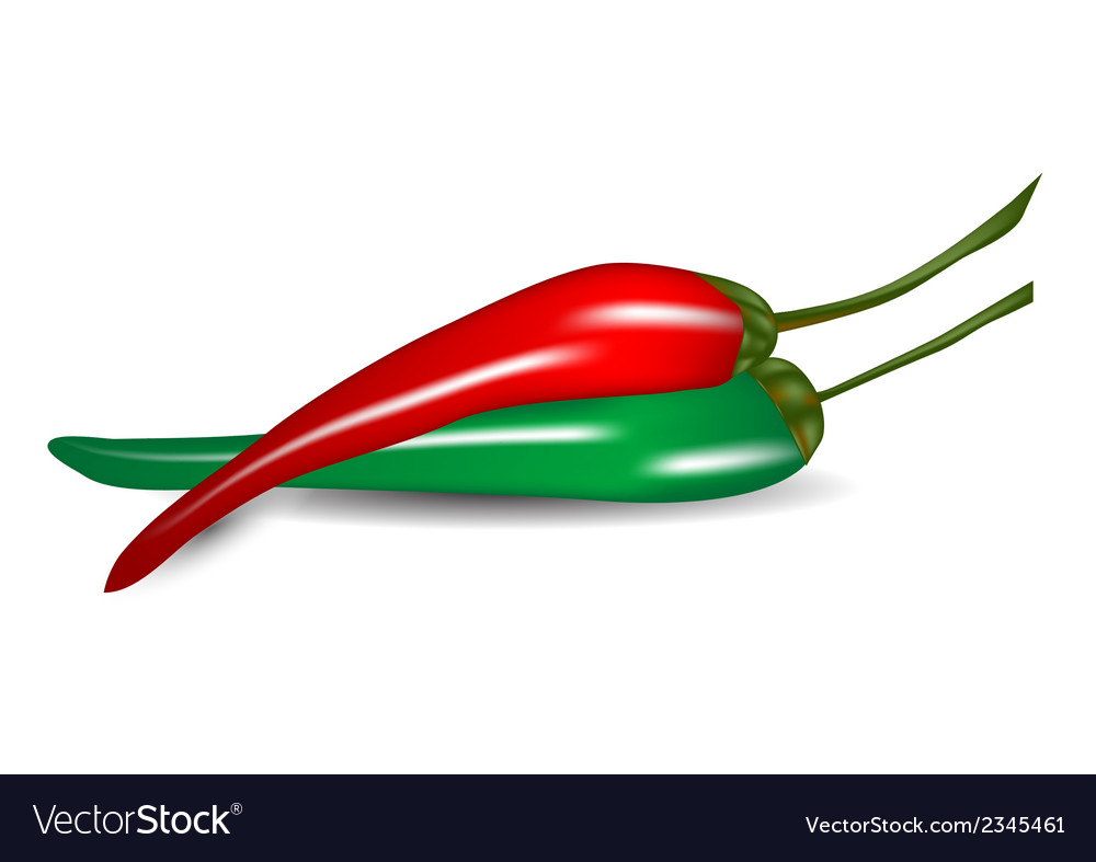Chillies Royalty Free Vector Image - VectorStock