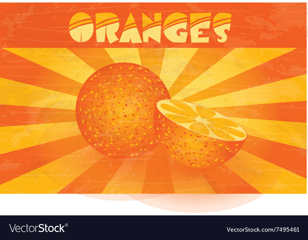 Oranges Royalty Free Vector Image - VectorStock