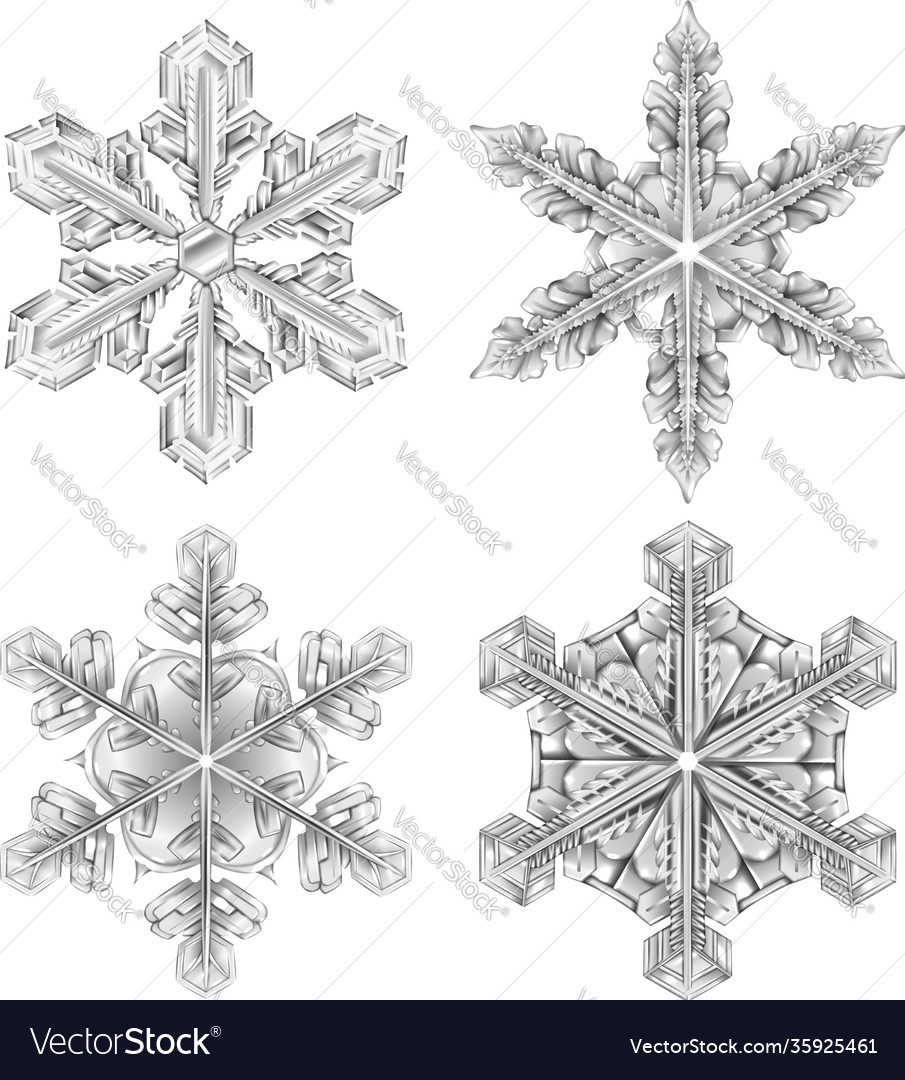 Realistic snowflake black and white icon set Vector Image