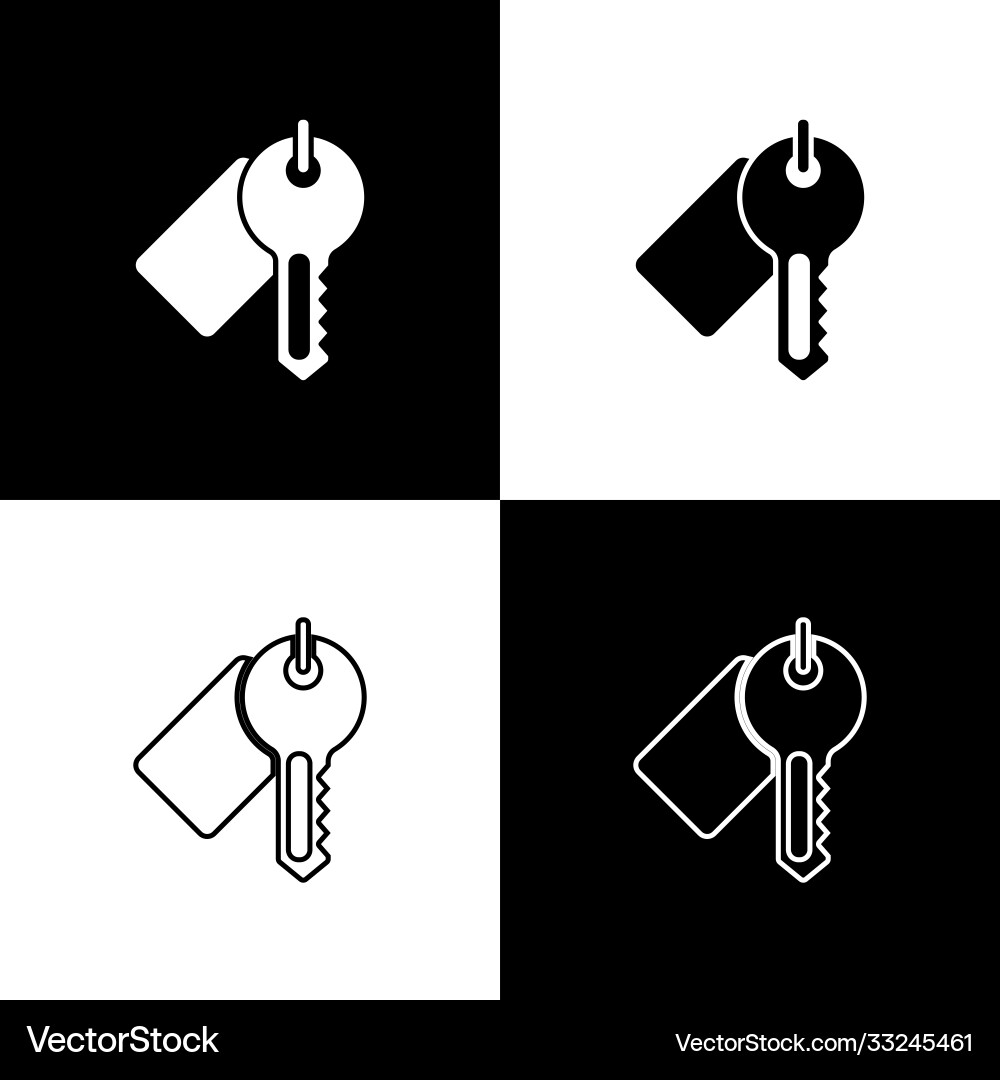 Set marked key icon isolated on black and white Vector Image