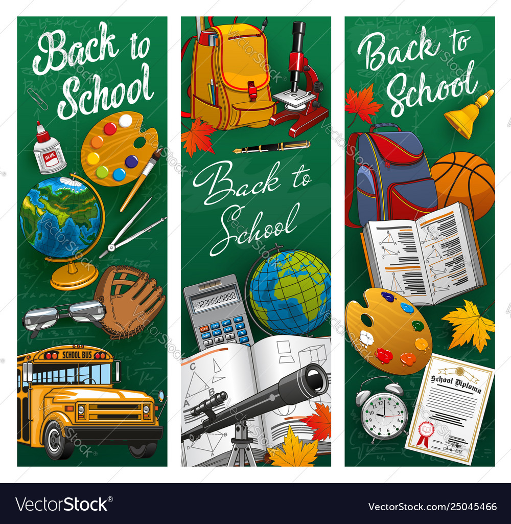 Back to school chalkboard and student supplies Vector Image