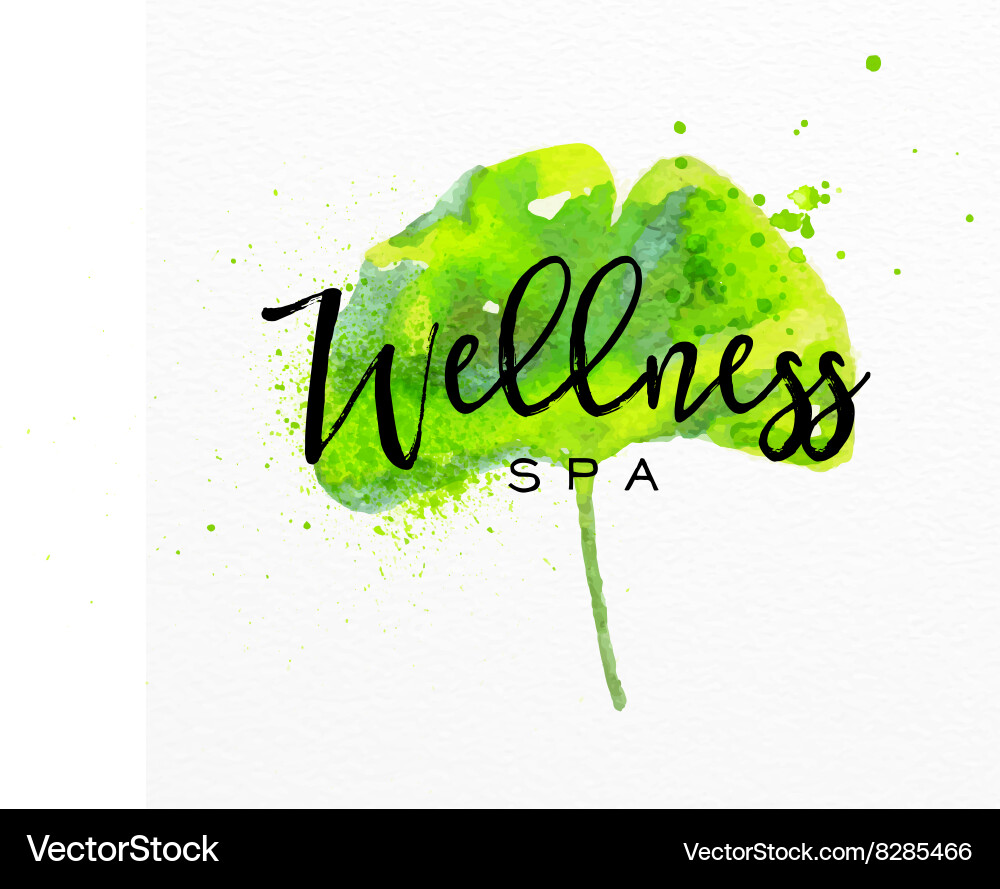 Beauty natural spa water leaf Royalty Free Vector Image