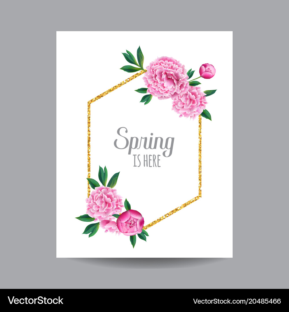 Blooming spring and summer floral design Vector Image