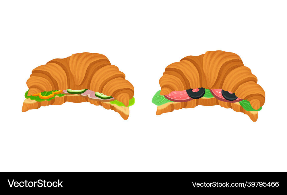 Crunchy croissants with various ingredients set Vector Image