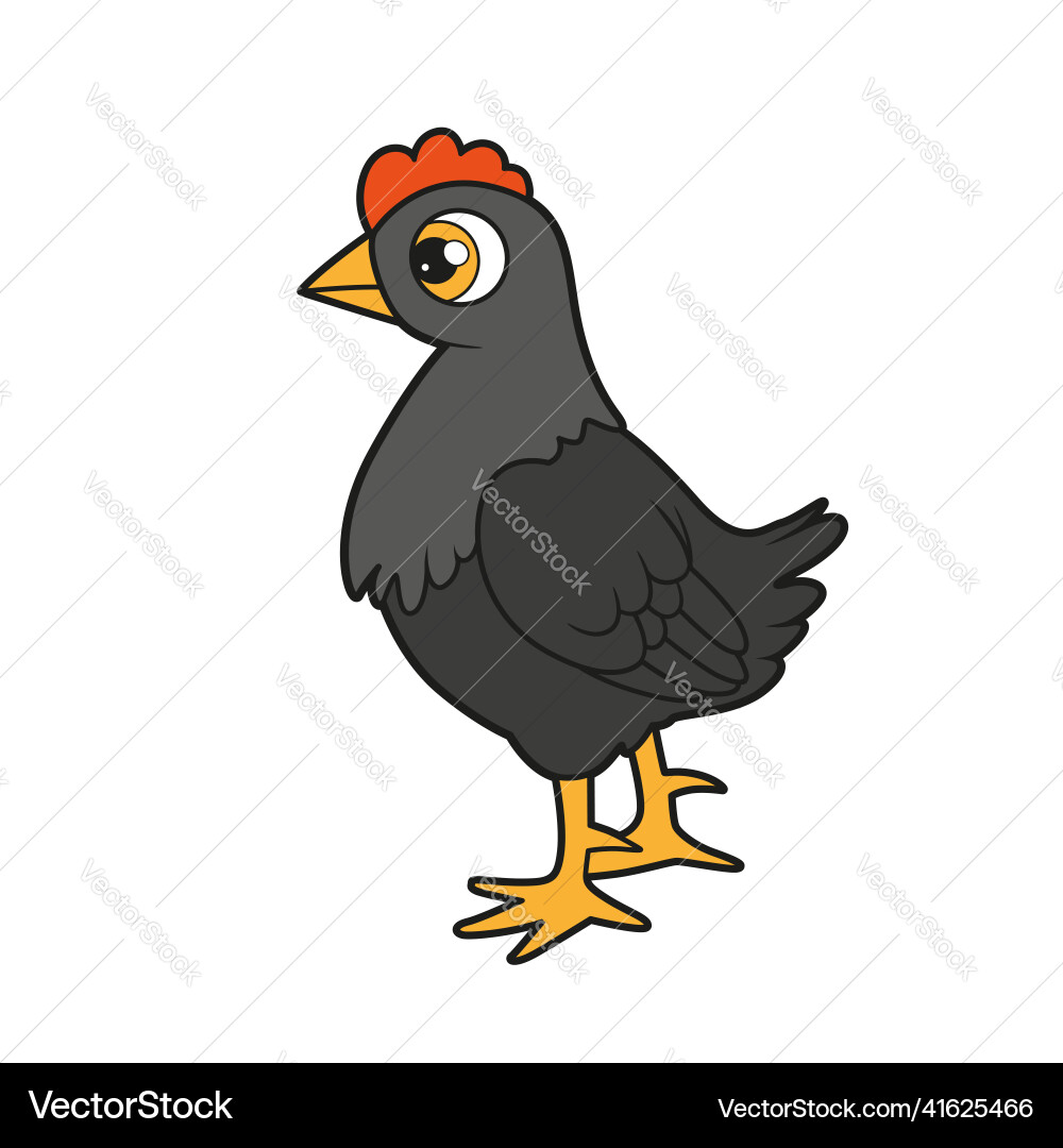 Cute cartoon young hen color variation Royalty Free Vector