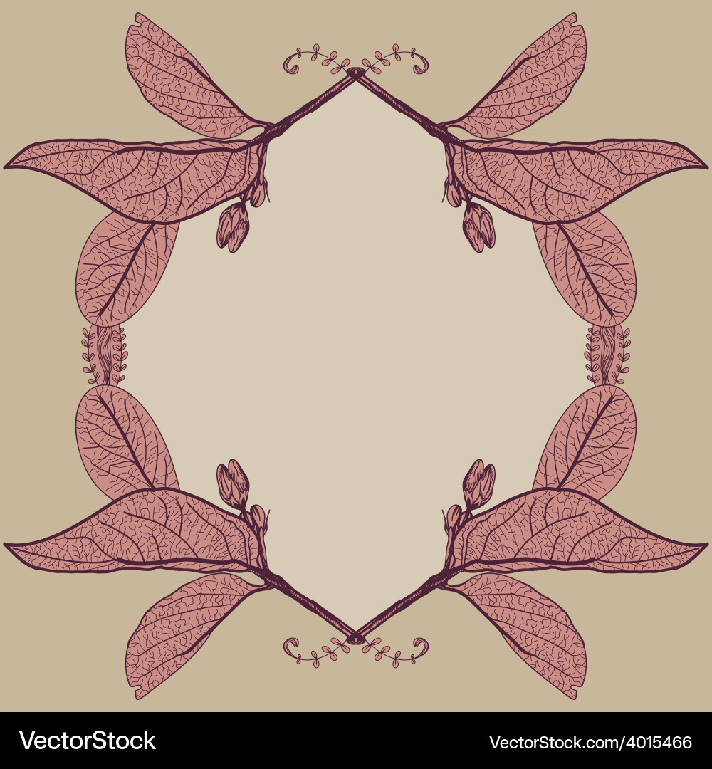 Leaves contours floral border sketch frames Vector Image