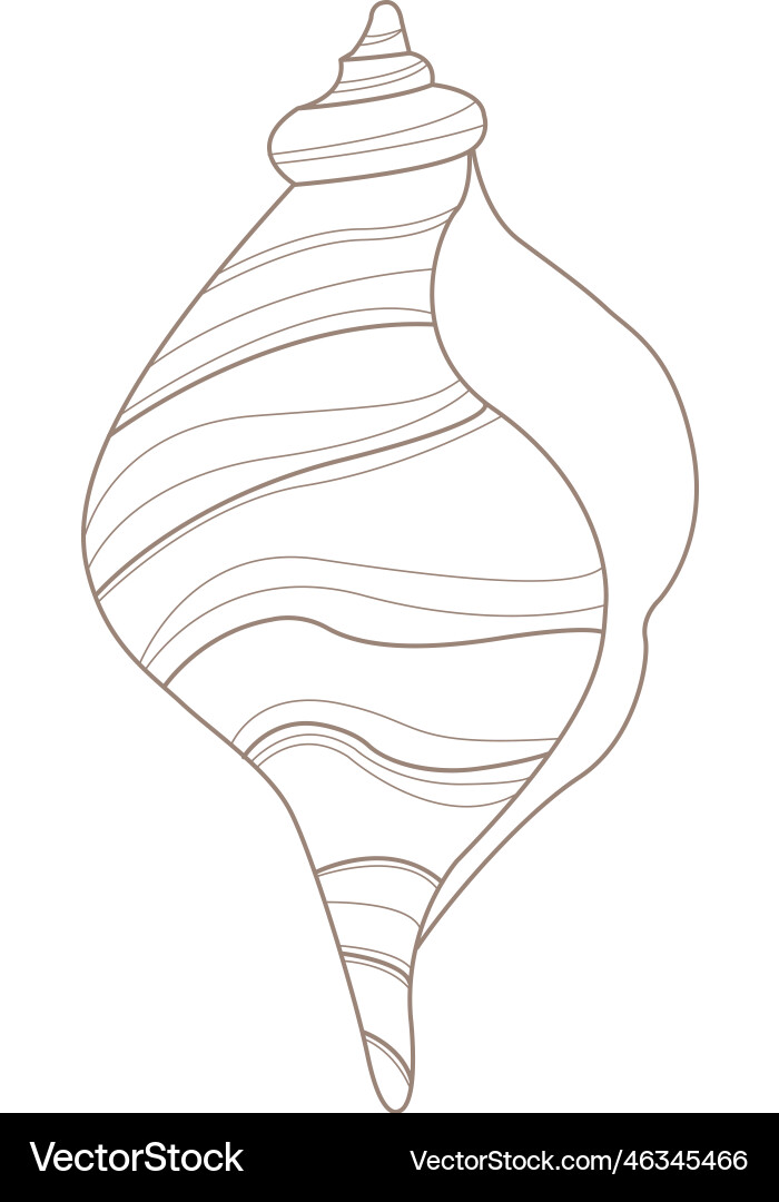 Seashell doodle for decoration on marine life Vector Image