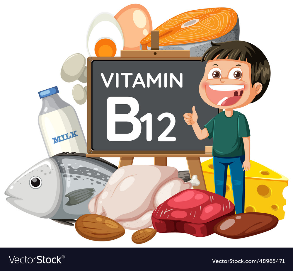Male student with vitamin b12 and food Royalty Free Vector