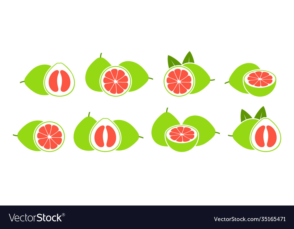 Pomelo Royalty Free Vector Image - VectorStock