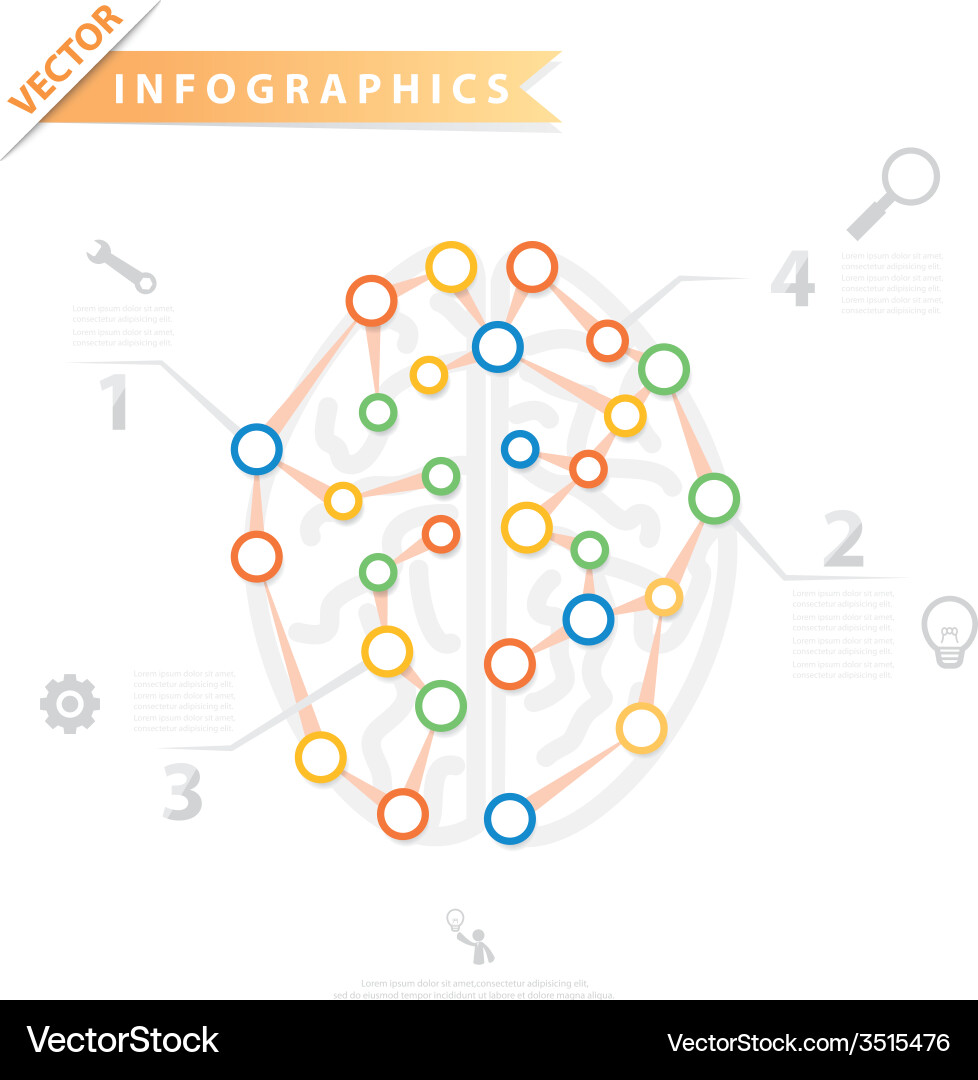 Infographic Brain Royalty Free Vector Image Vectorstock