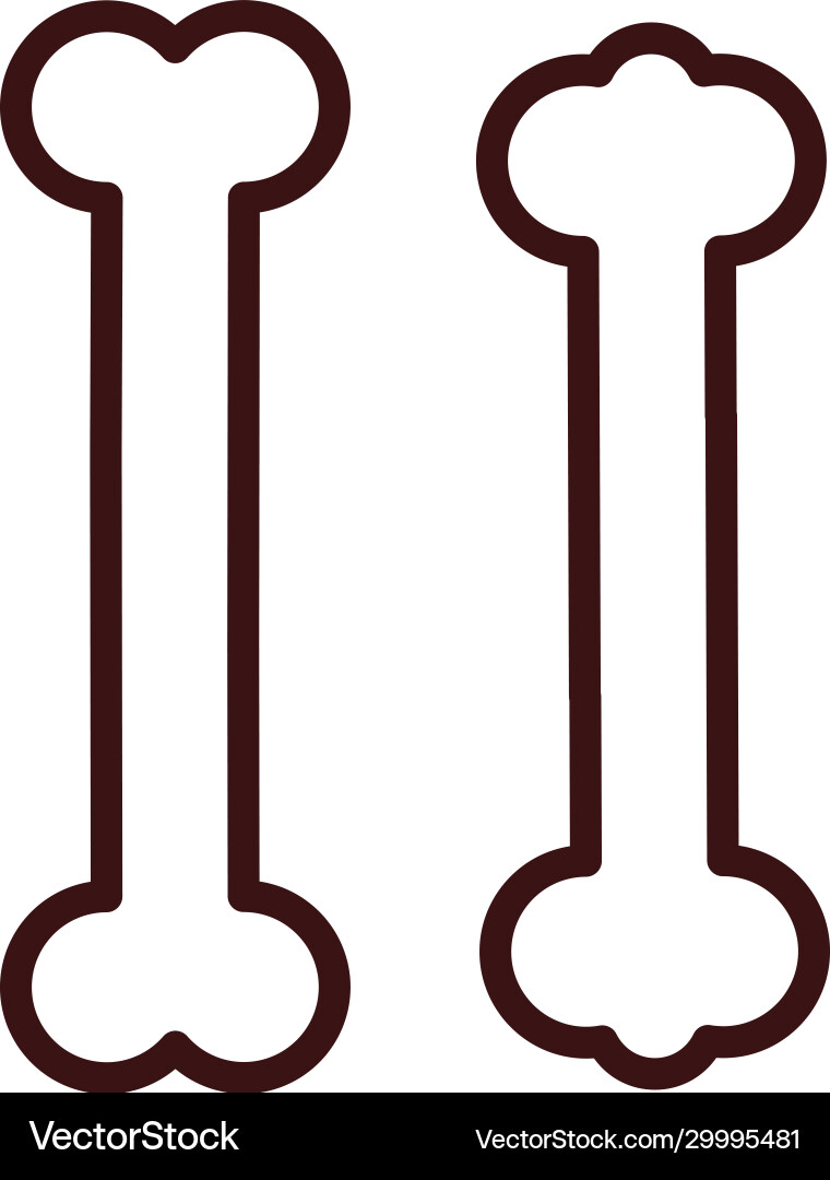 Bones body human parts line style Royalty Free Vector Image