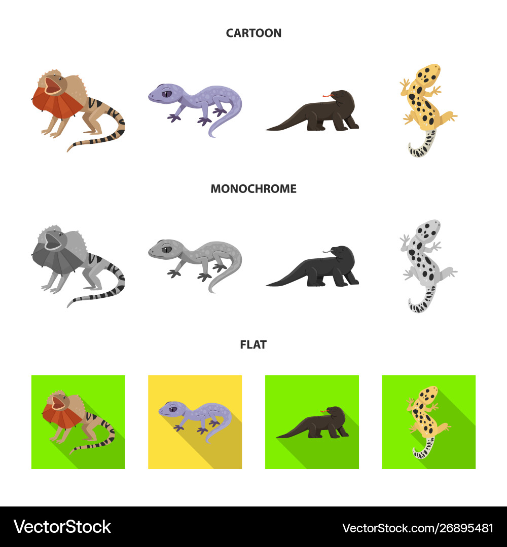 Design tail and fauna logo collection Royalty Free Vector