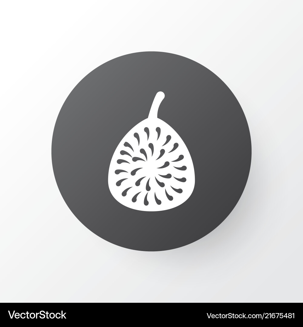 Figs icon symbol premium quality isolated Vector Image