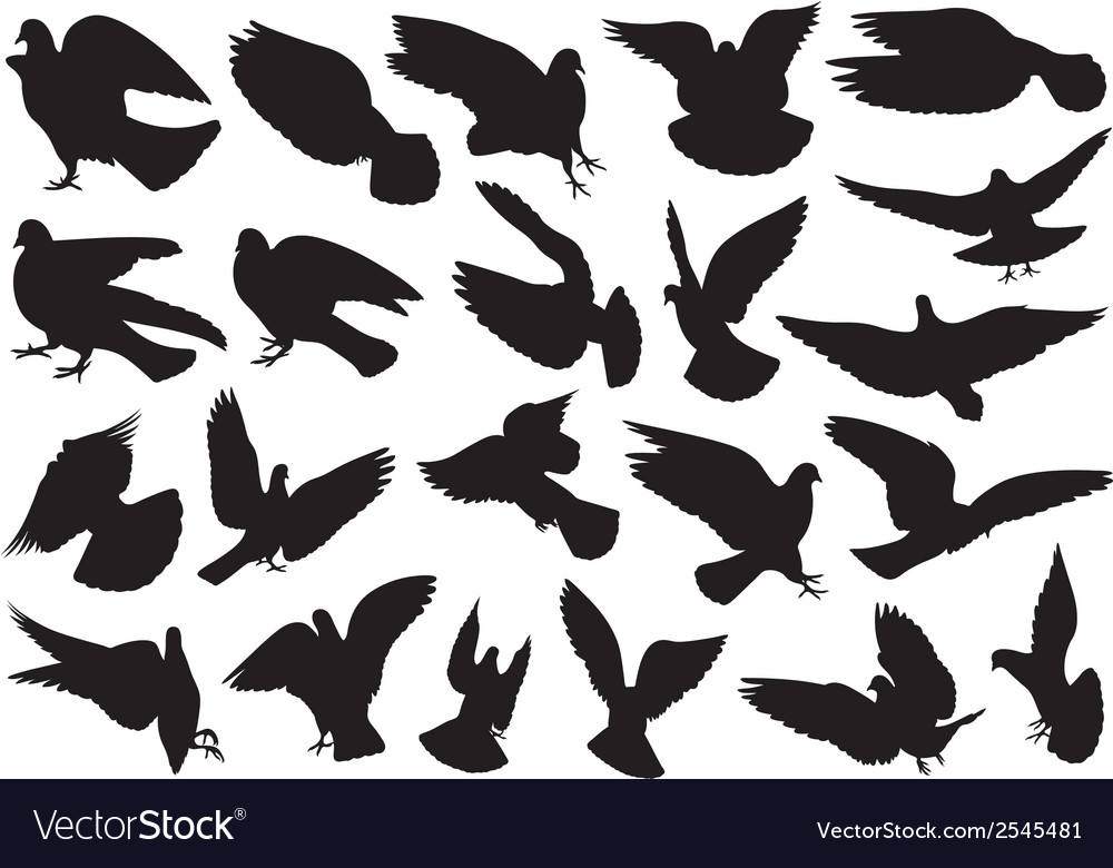 Set different doves Royalty Free Vector Image - VectorStock