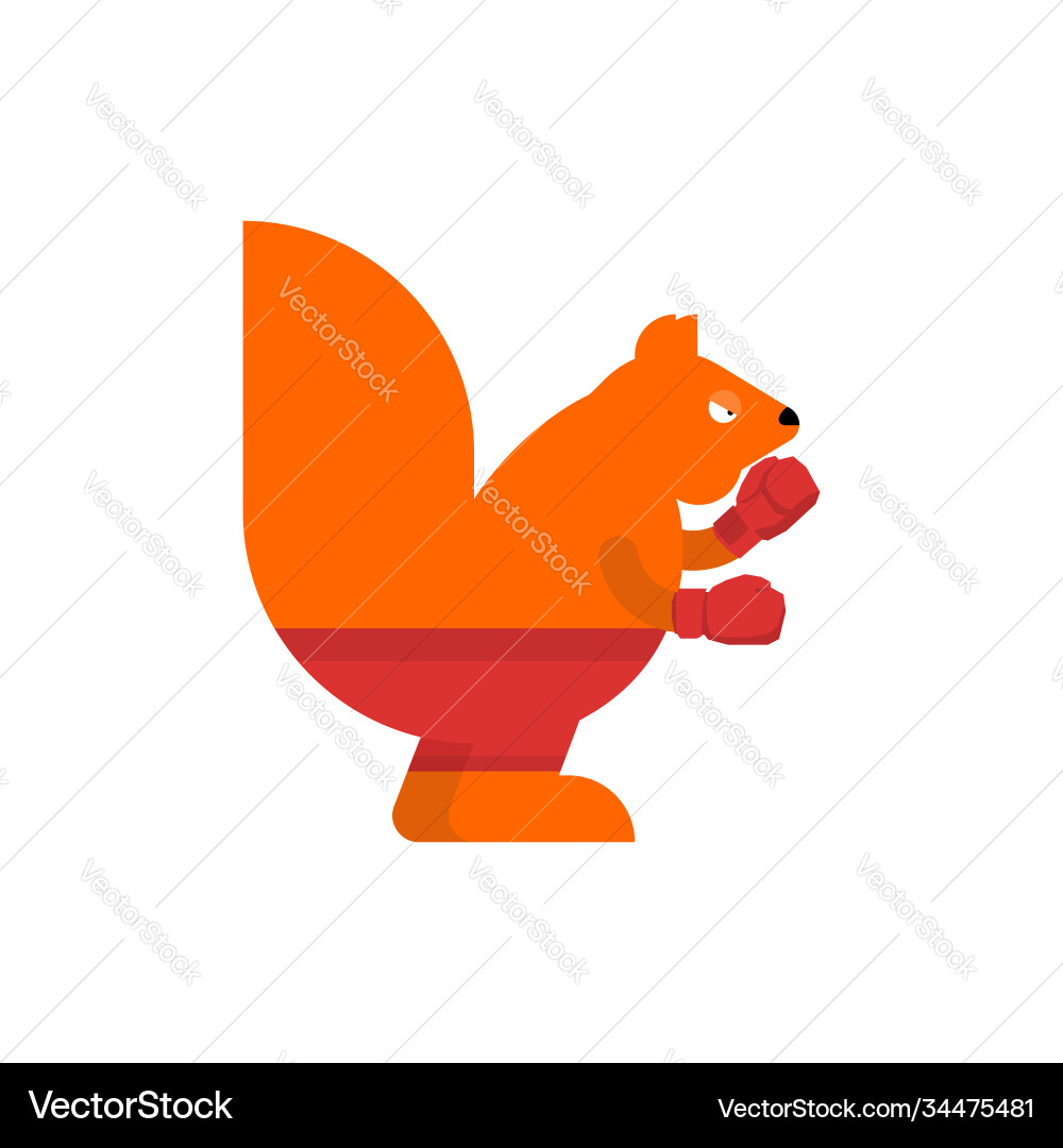 Squirrel boxer rodent in boxing gloves Royalty Free Vector