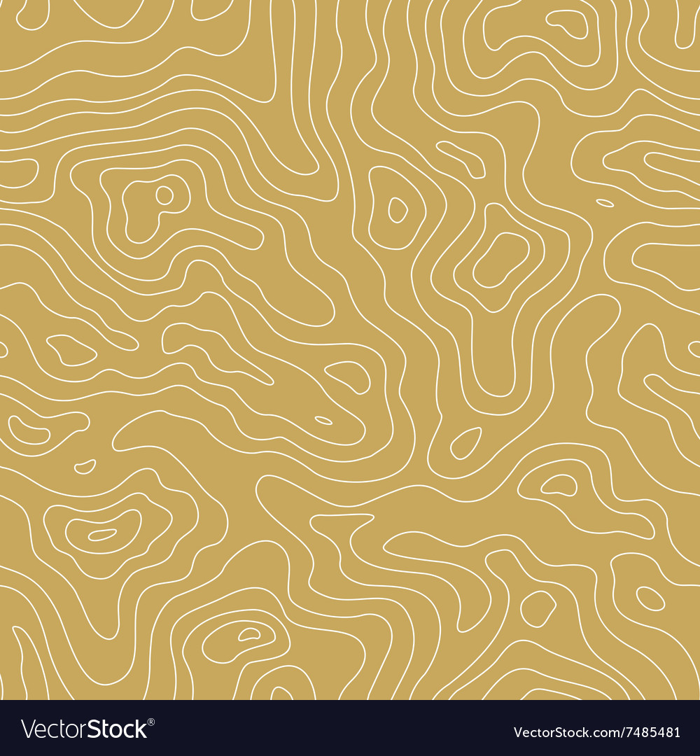 Topographic map pattern Royalty Free Vector Image