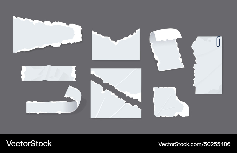 Collection of white torn paper pieces featuring Vector Image