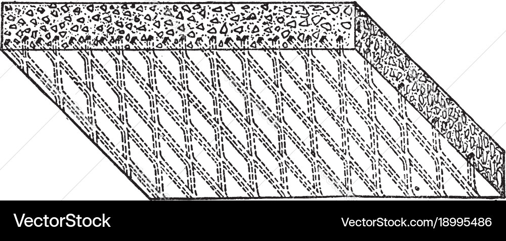 Expanded steel concrete slab lightweight concrete Vector Image