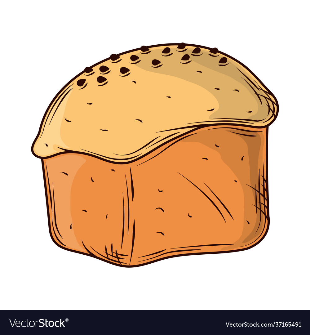 Baked rustic bread Royalty Free Vector Image - VectorStock