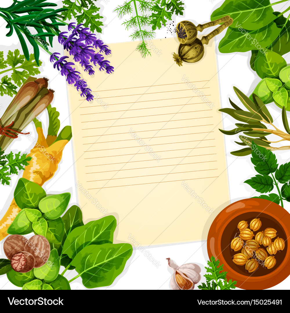 Recipe paper with herb spice and leaf vegetable Vector Image