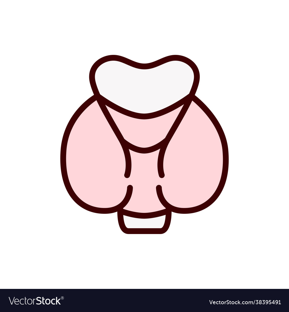 Thyroid icon Royalty Free Vector Image - VectorStock