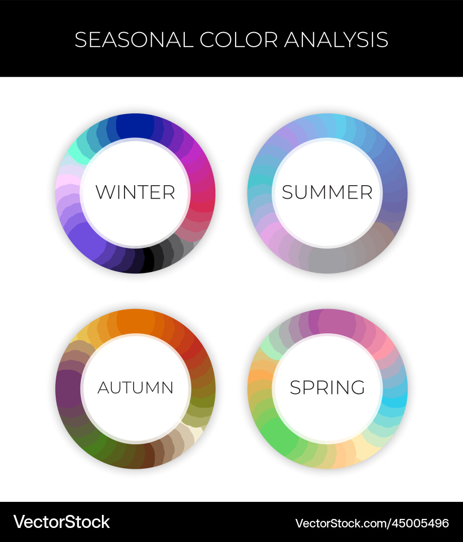 Color analysis palette with best colors for every Vector Image