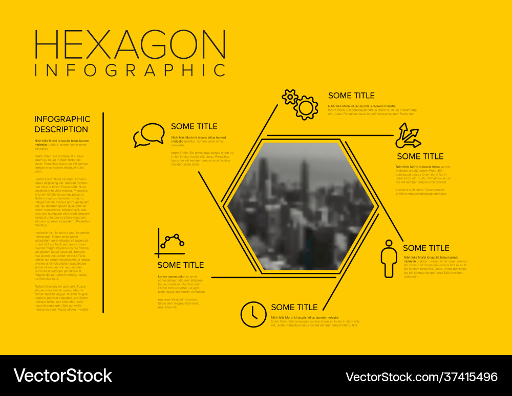 Infographic thin line hexagon template with photo Vector Image