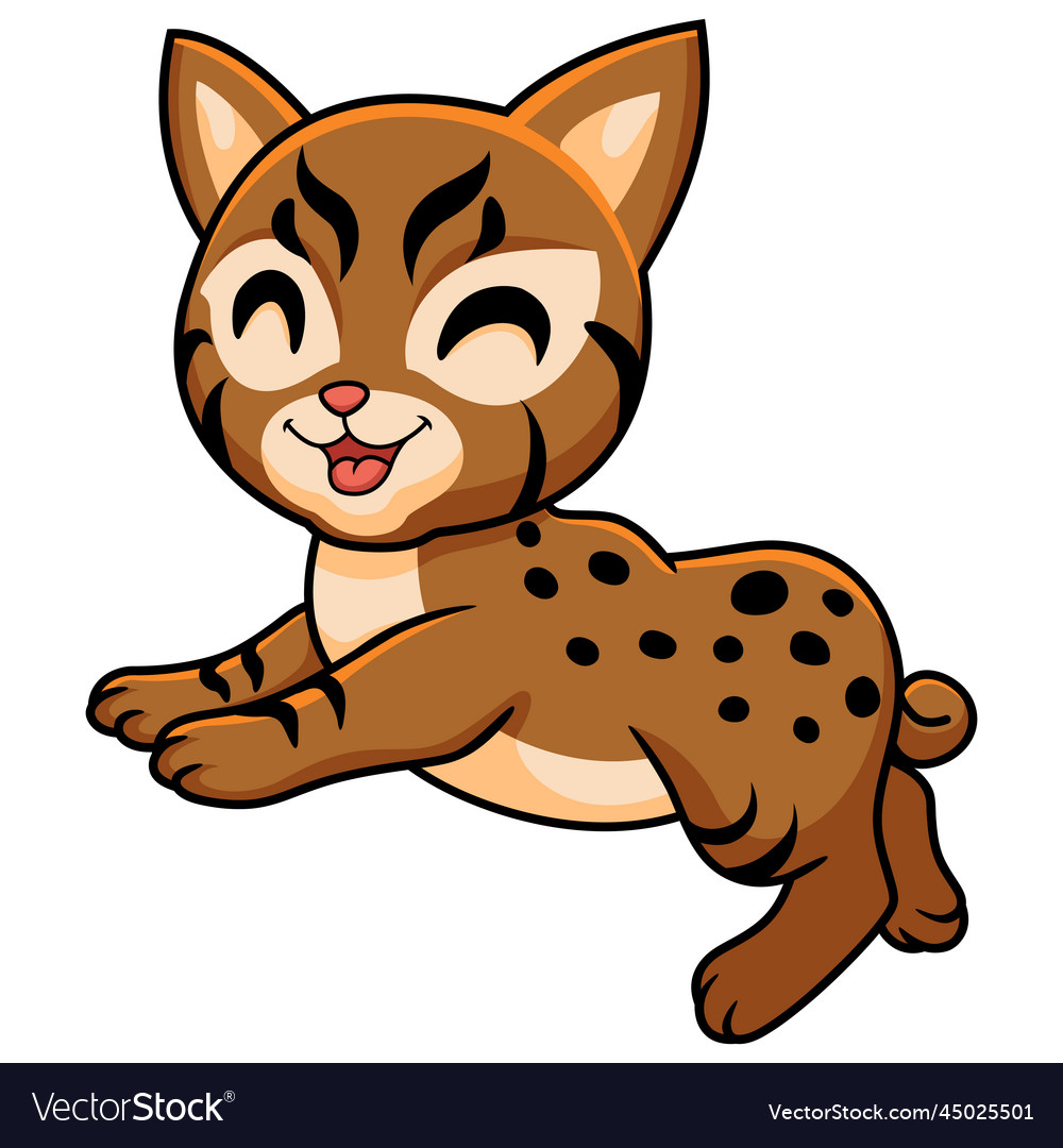 Cute pixie bob cat cartoon Royalty Free Vector Image