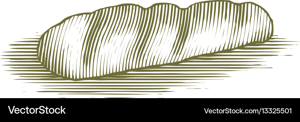 Woodcut french bread loaf Royalty Free Vector Image