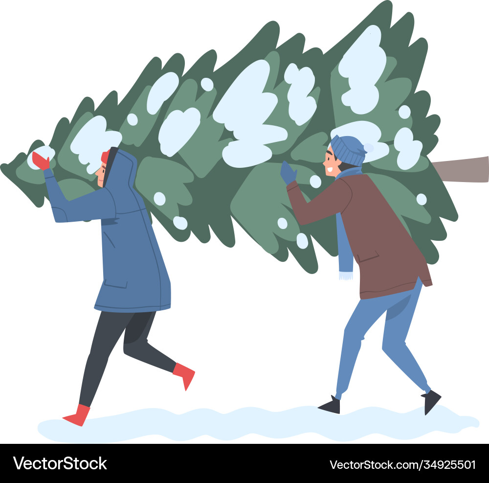 Young men carrying christmas tree together guys Vector Image