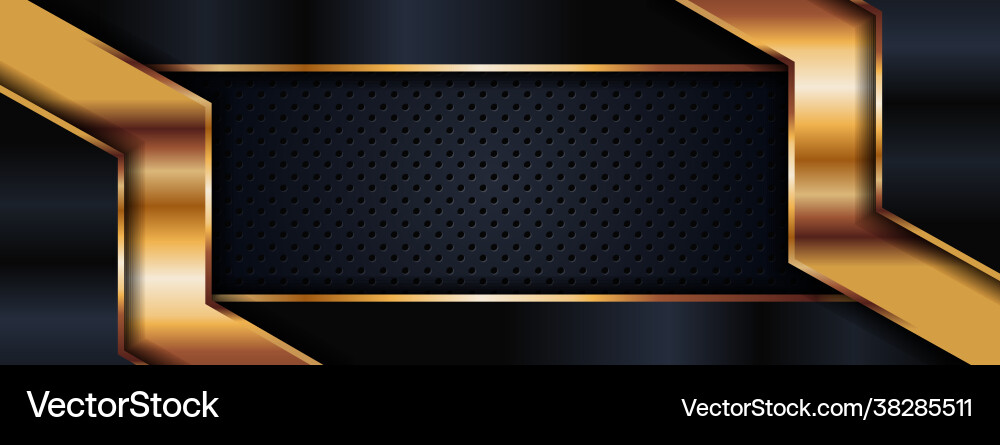 Abstract futuristic black background combined Vector Image